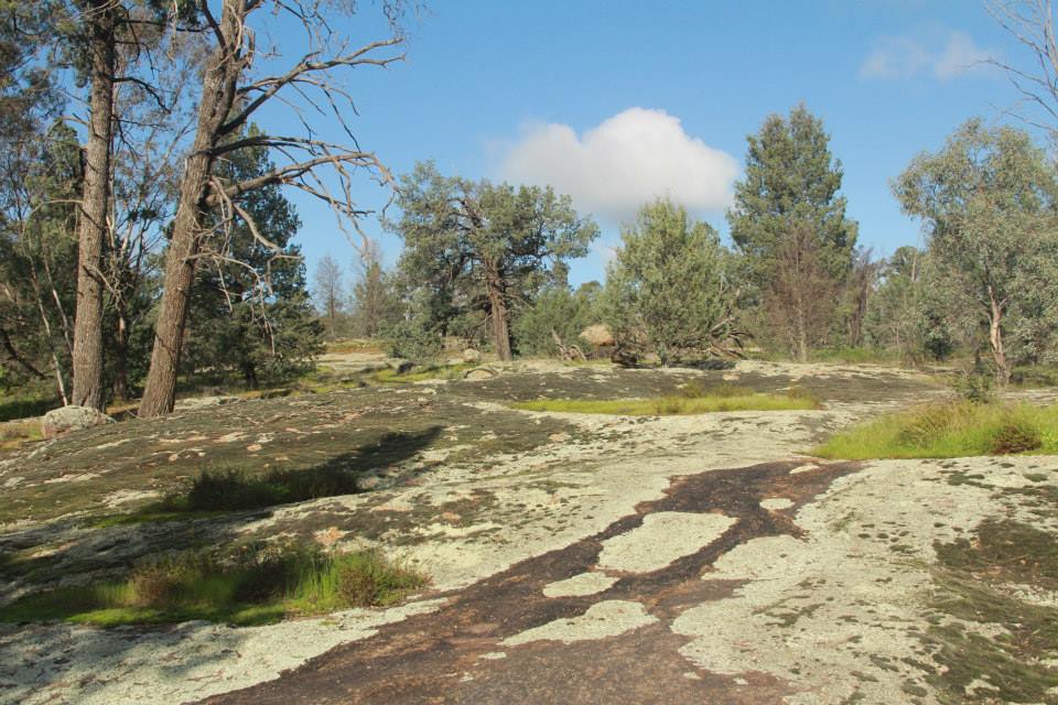 365 Places: Barmah National Park | Geokult